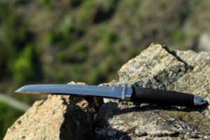The Legendary Japanese Tanto: Everything You Need to Know